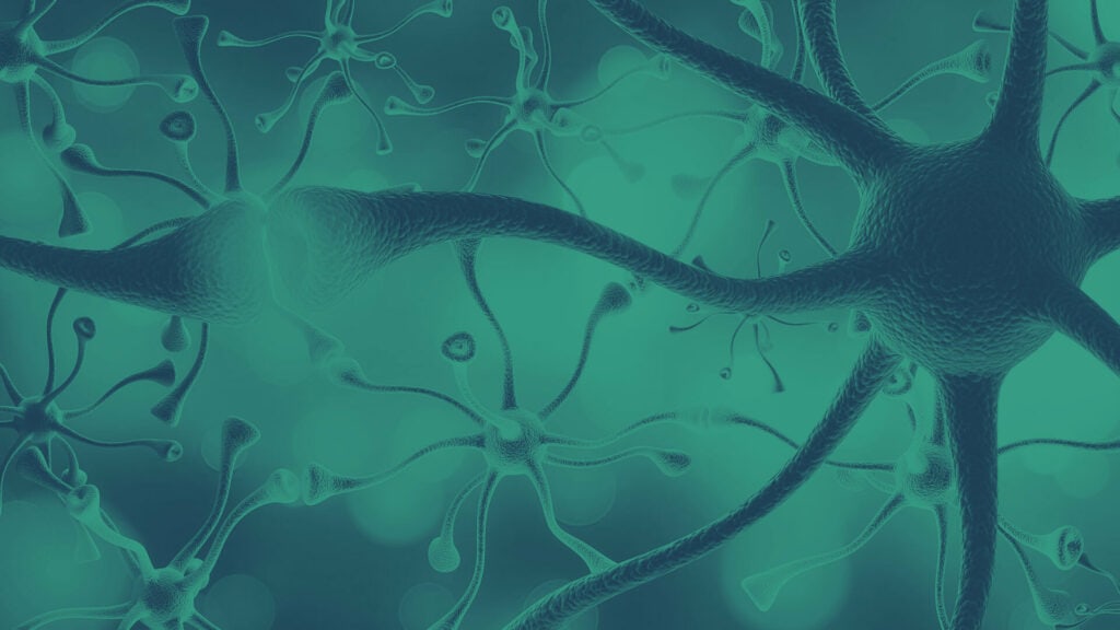 Mentorship Spotlight: “Having a Mentor like Kaytie Will Set You Up for Success in the IONM Field ...