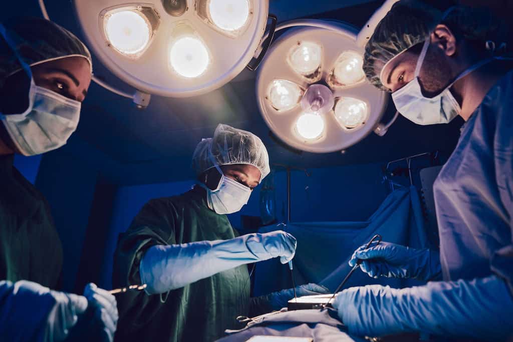 IONM Training Program - SpecialtyCare