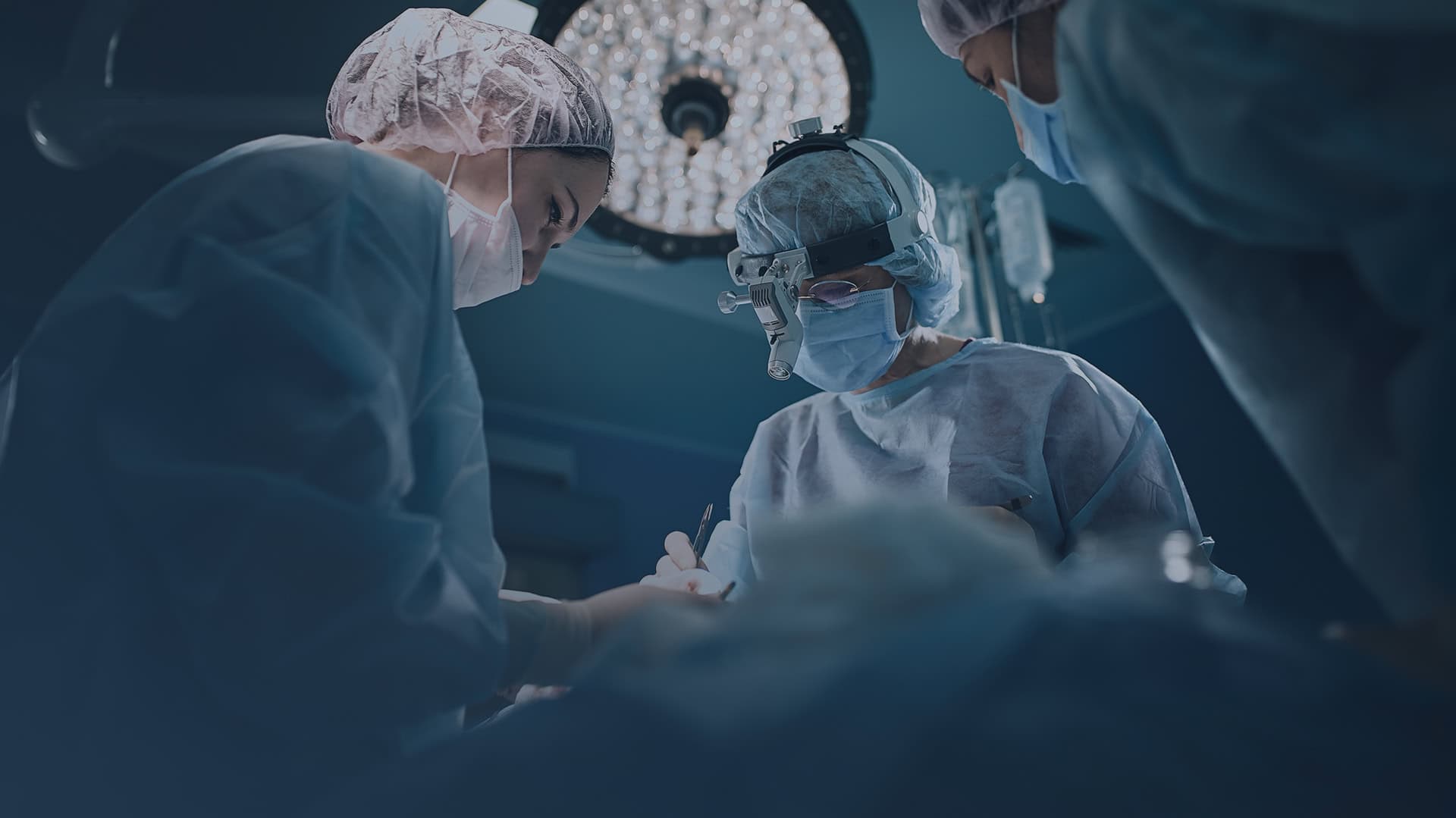 The Vital Role of Organ Procurement Organizations and SpecialtyCare’s ...